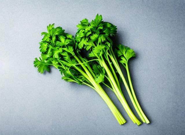 tied fresh parsley isolated on white - Photo #2638265 - AI Generated ...